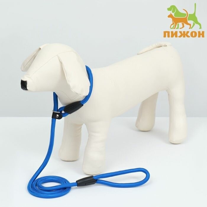 Ринговка для собак Пижон Вращающийся встроенный вертлюг, 130х1 см, синяя