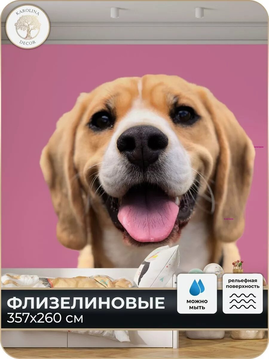 Фотообои Собака для зала в спальню на кухню 350х260