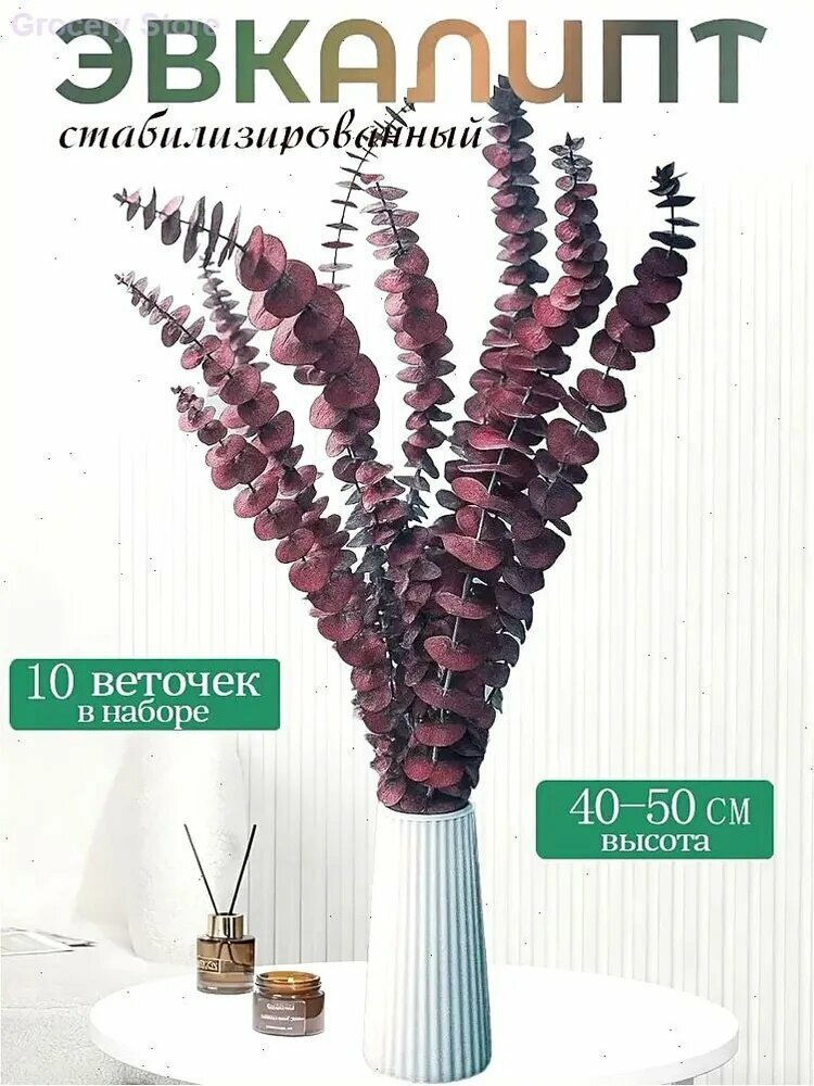 Сухоцветы Эвкалипт, 50 см, 10 шт