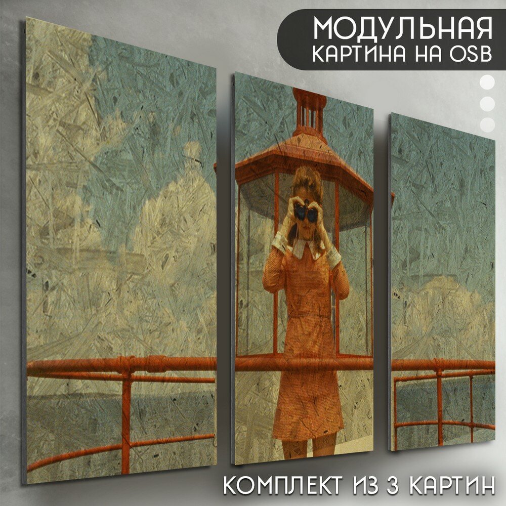 Модульная картина на рельефной доске ОСП "Фильм Королевство полный луны ( Уэс Андерсон, Отель гранд будапешт, остров собак) - 6590"