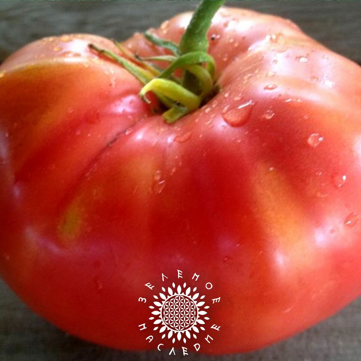 Семена Томат Сладкий мед (лат. Solanum lycopersicum) 10шт от Green Legacy