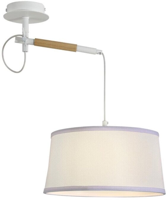 Настенно-потолочный светильник F-Promo Eureka 3005-1P