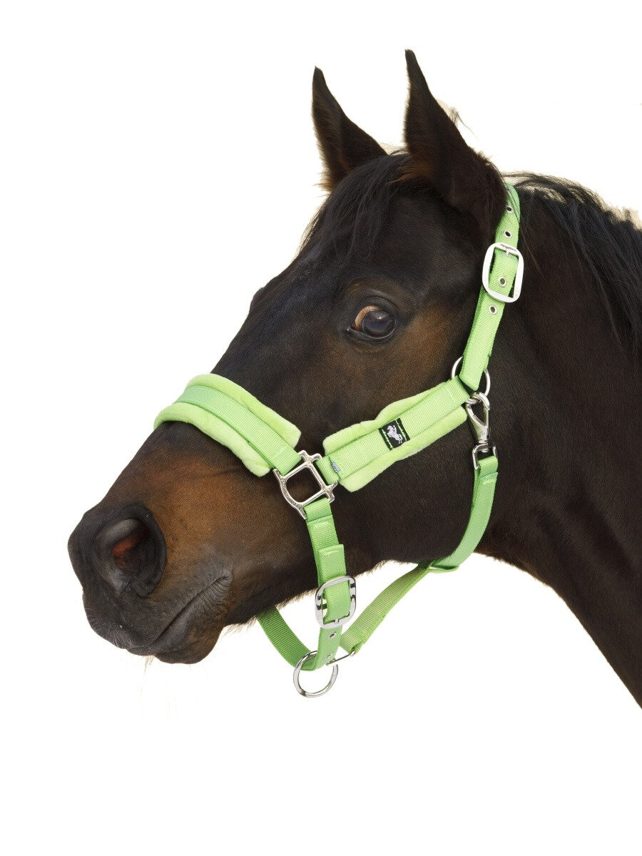 Sweethorse / Недоуздок для лощадей на флисе , Full , салатовый — фото 1