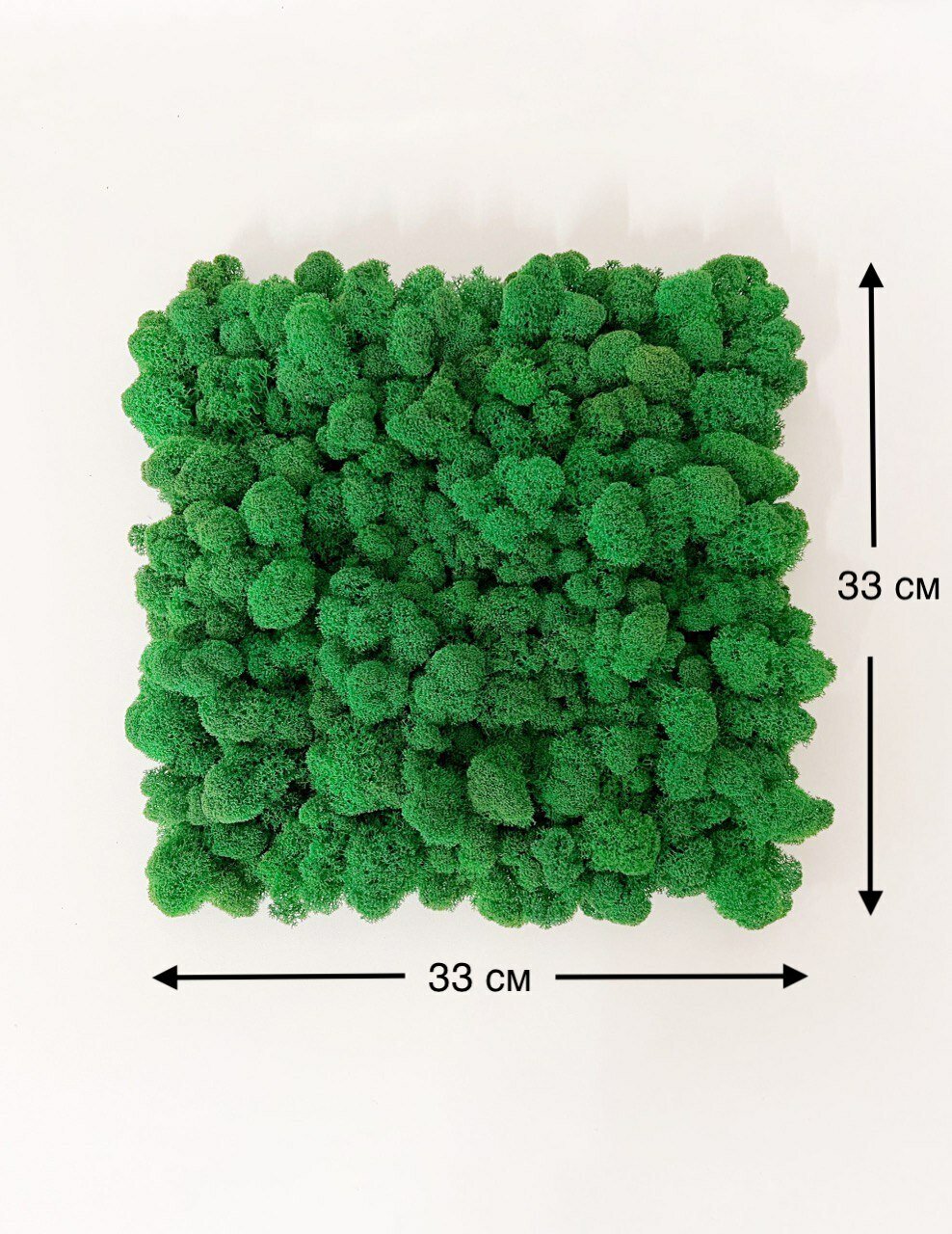 Панно панель со стабилизированным мхом1 шт 33х33х6 см на стену декоративное для интерьера сухоцветы