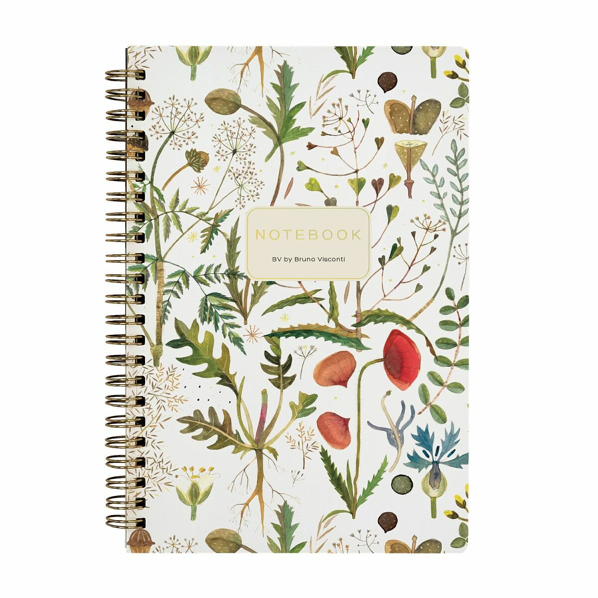 Тетрадь BrunoVisconti А5 "Луговые травы" 60 л, клетка