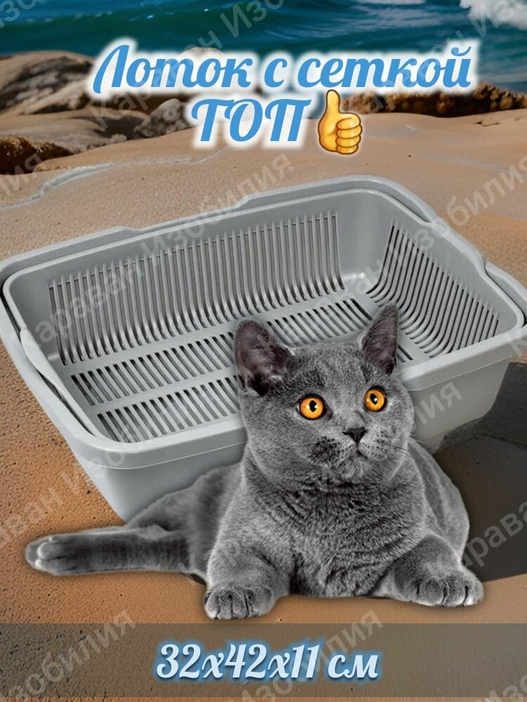Лоток для кошек с сеткой, туалет для кошек/Туалет лоток для животных с решеткой, цвет серый 320x420x110(h)mm