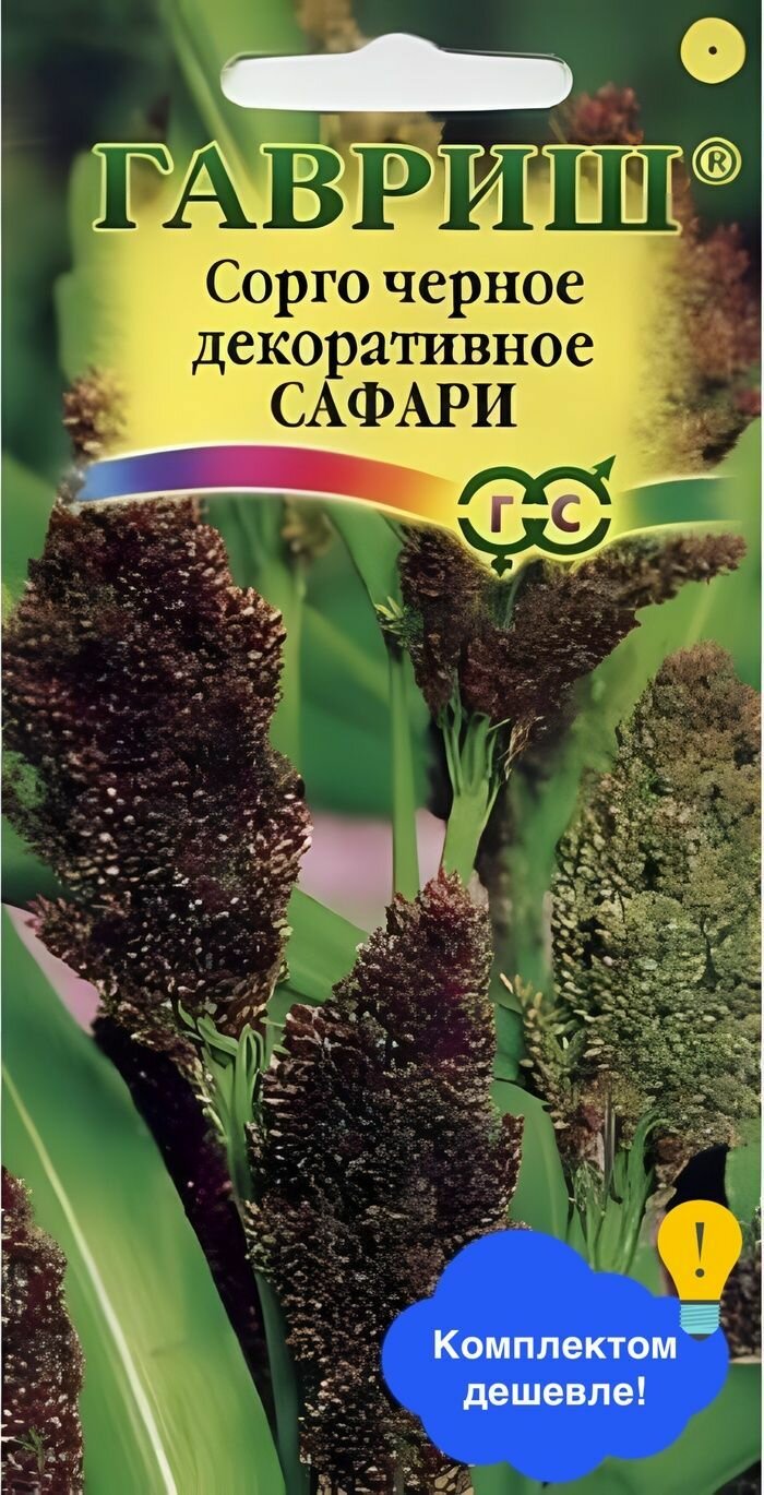 Цветы Сорго черное Сафари