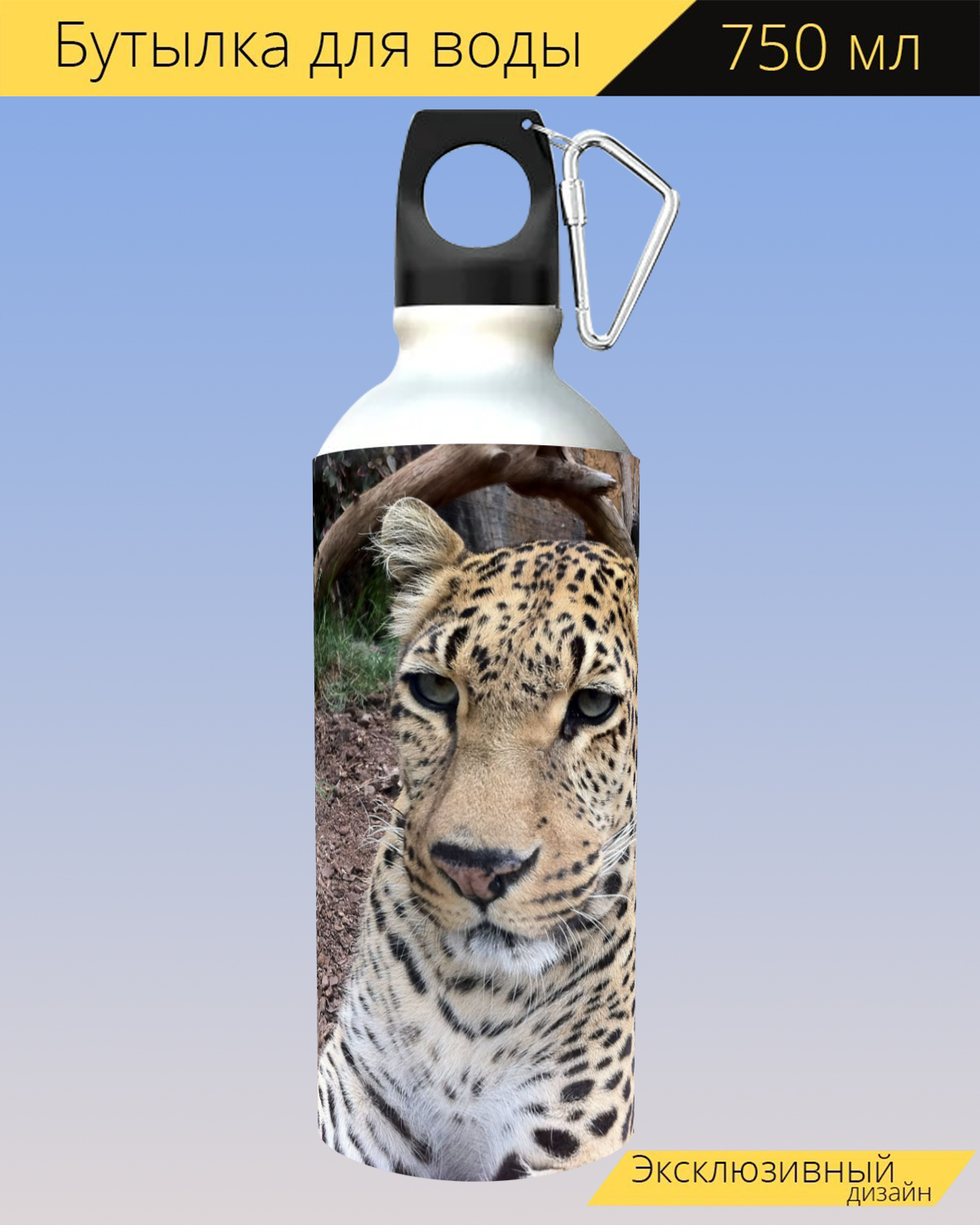 Бутылка фляга для воды "Леопард, большие кошки, дикая природа" 750 мл. с карабином и принтом
