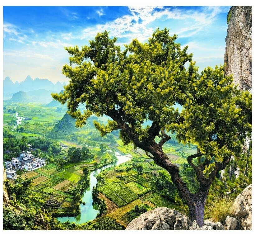 Фотообои Milan Мощь природы, M 343, 300х270 см, виниловые на флизелиновой основе