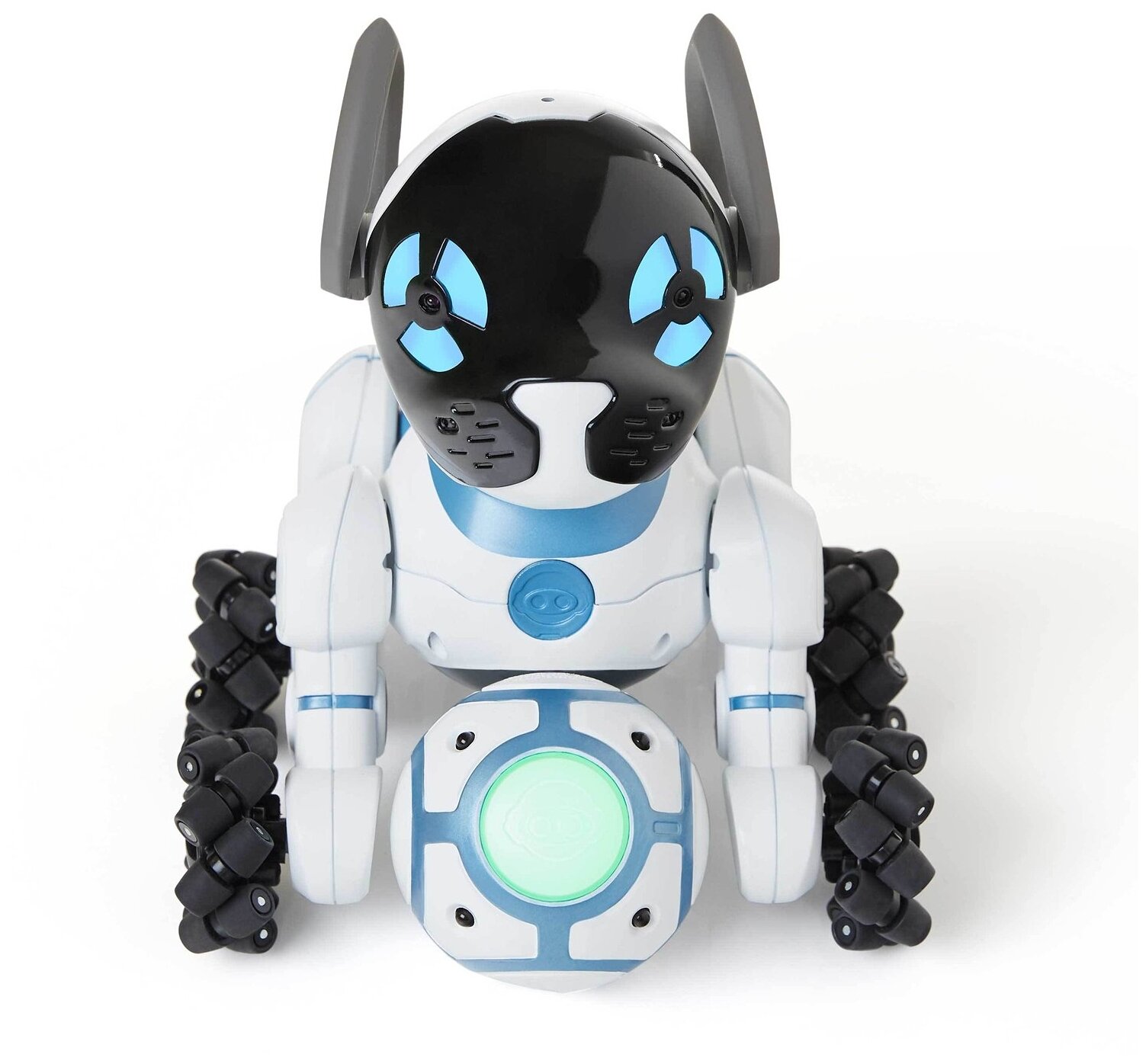 How Much Money Is Chip The Robot Dog