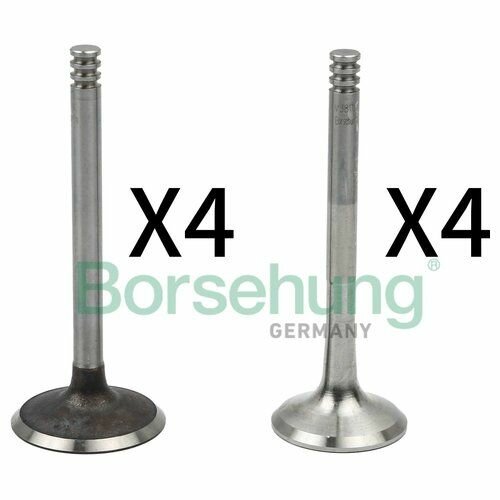 Клапан Borsehung B18766