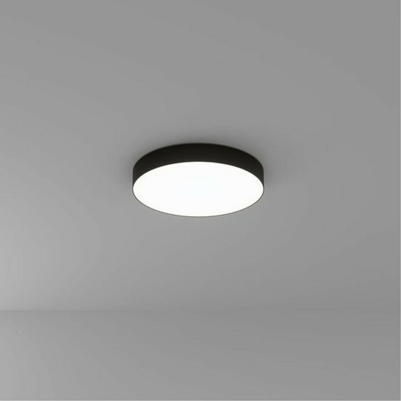 Накладной светильник Arte Lamp Fado A7350PL-1BK