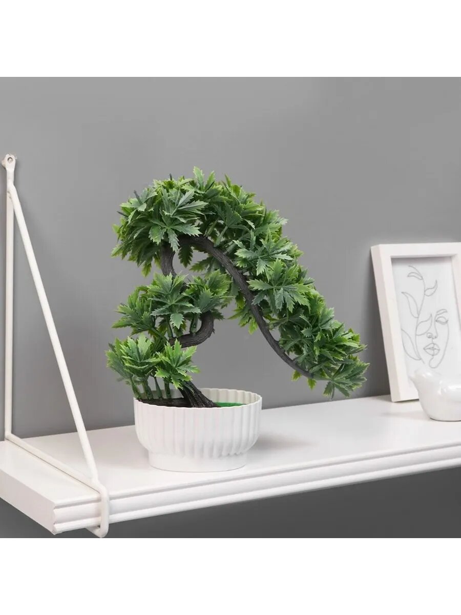 Элегантный бонсай