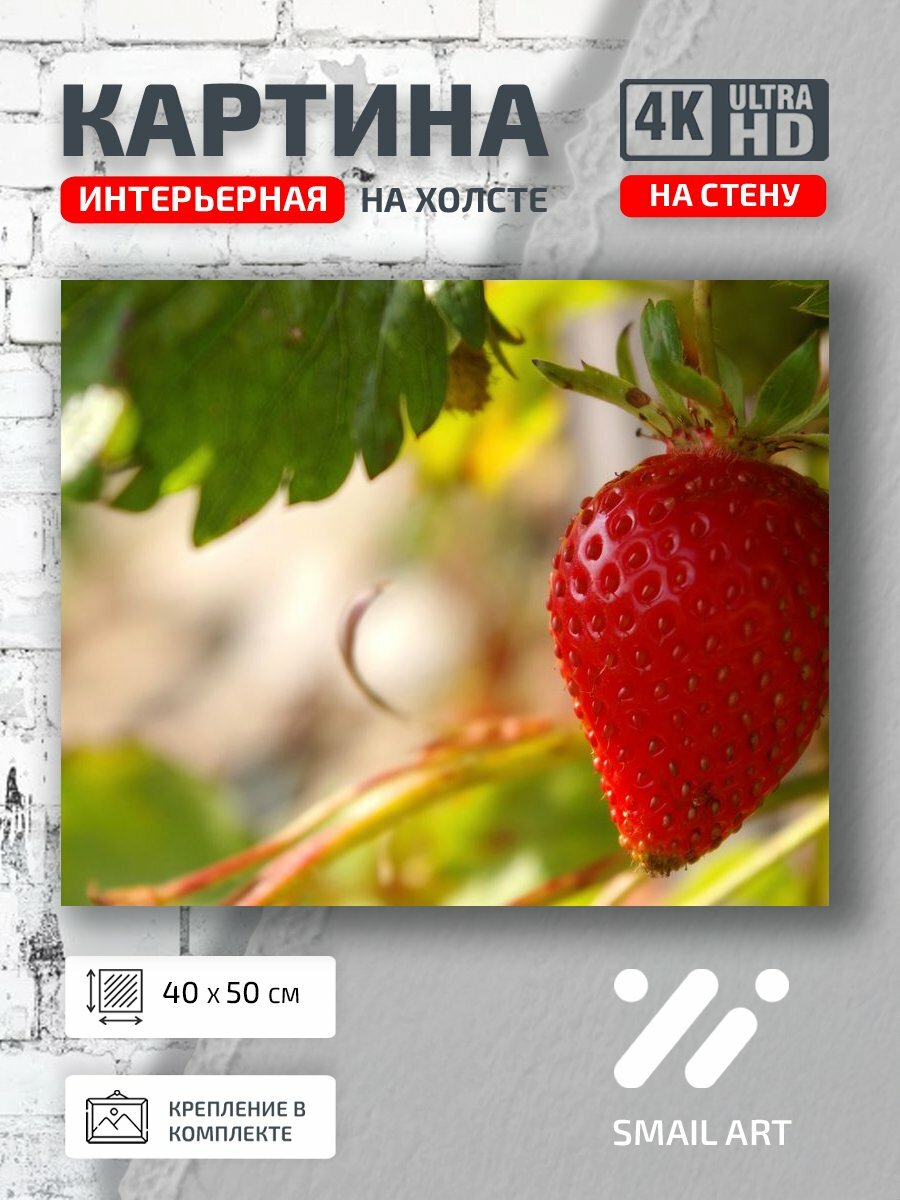 Картина на холсте интерьерная 40 на 50 на стену Клубника Food для гостиной кулинария декор