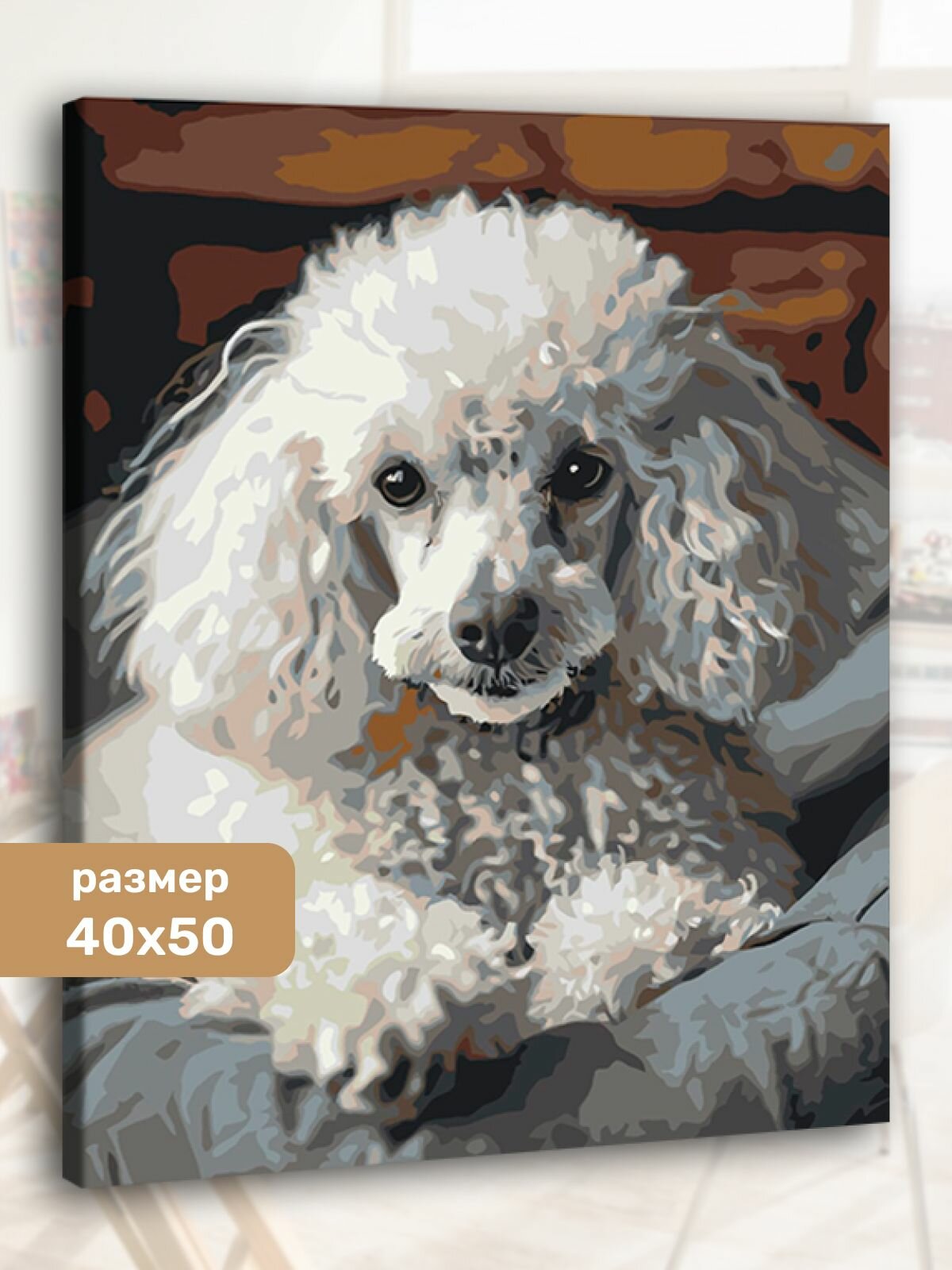 Картина по номерам, на холсте с подрамником 40х50, пудель белый