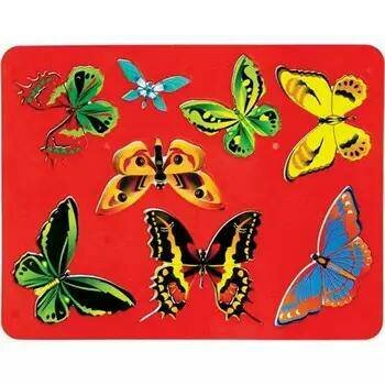 Трафарет-раскраска "Бабочка"