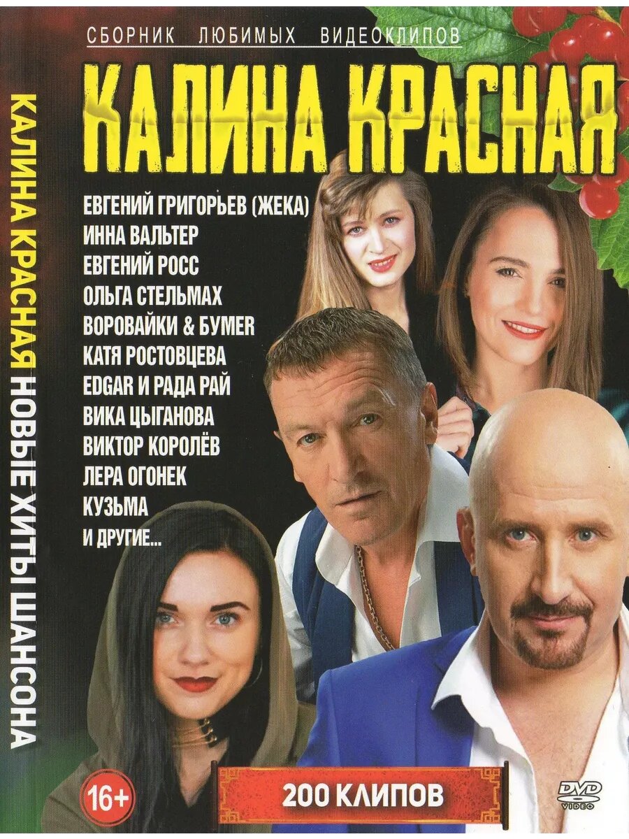 Калина Красная, новые хиты шансона 200 клипов