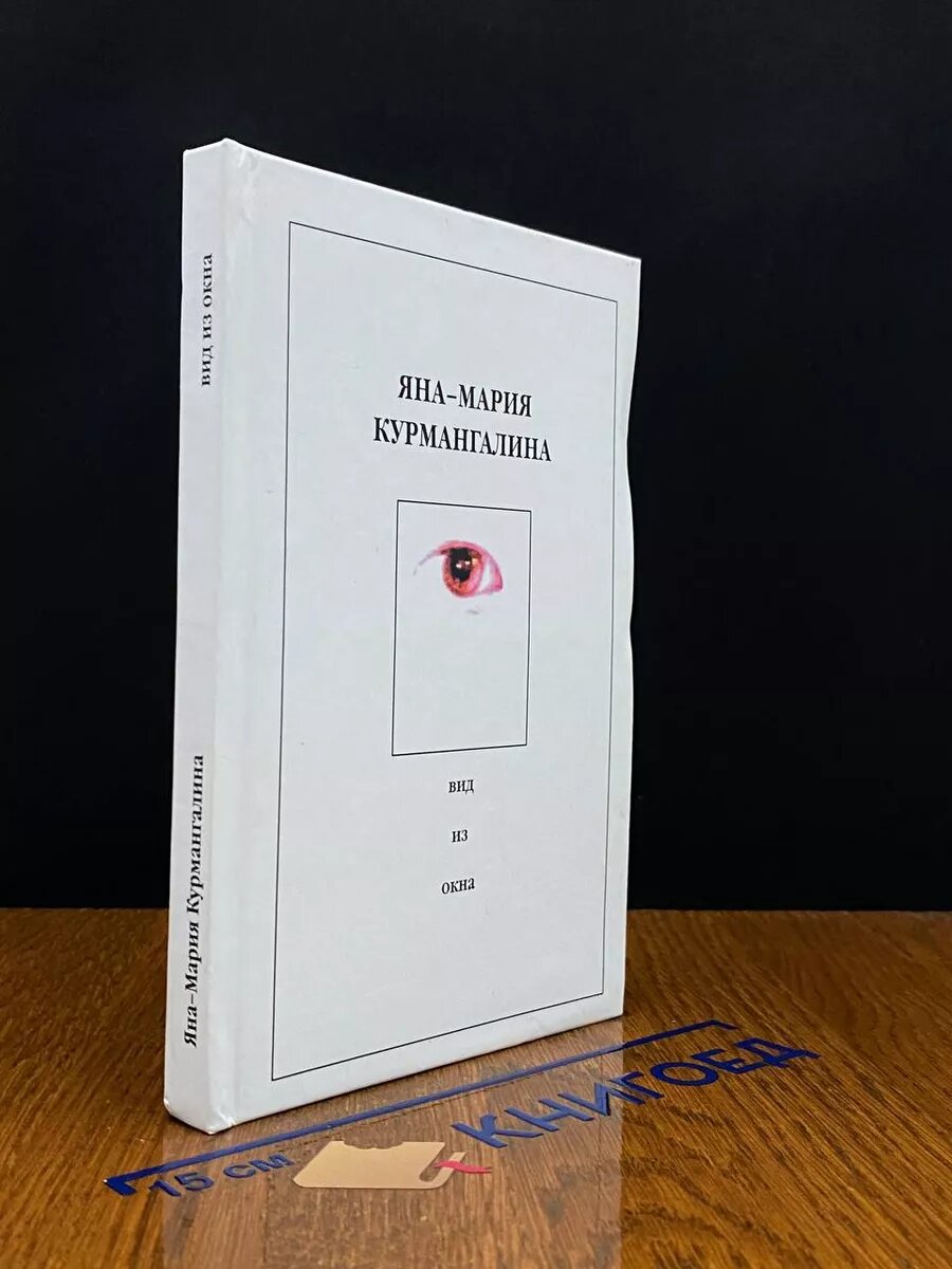 Книга. Вид из окна 2004 (2041025247665)