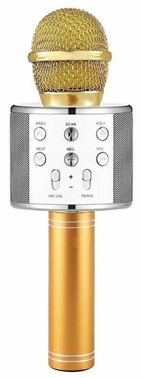Караоке колонка с микрофоном, микрофон блютуз bluetooth, 4 стиля голоса, 5 ч работы, золото