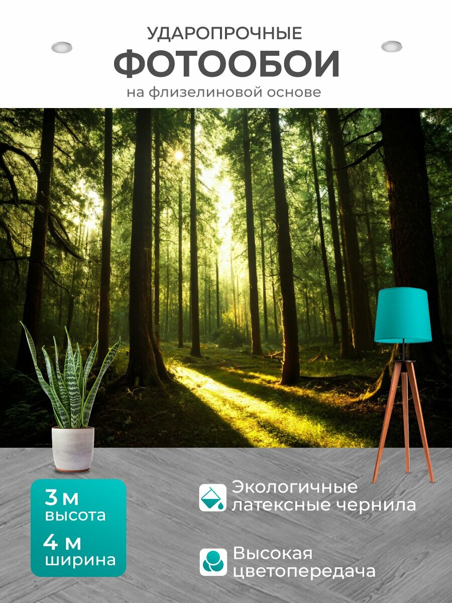 Фотообои моющиеся ударопрочные "Лес с глубоким тёмным лесом и яркими вспышками света" 400x300 см. флизелиновые на стену