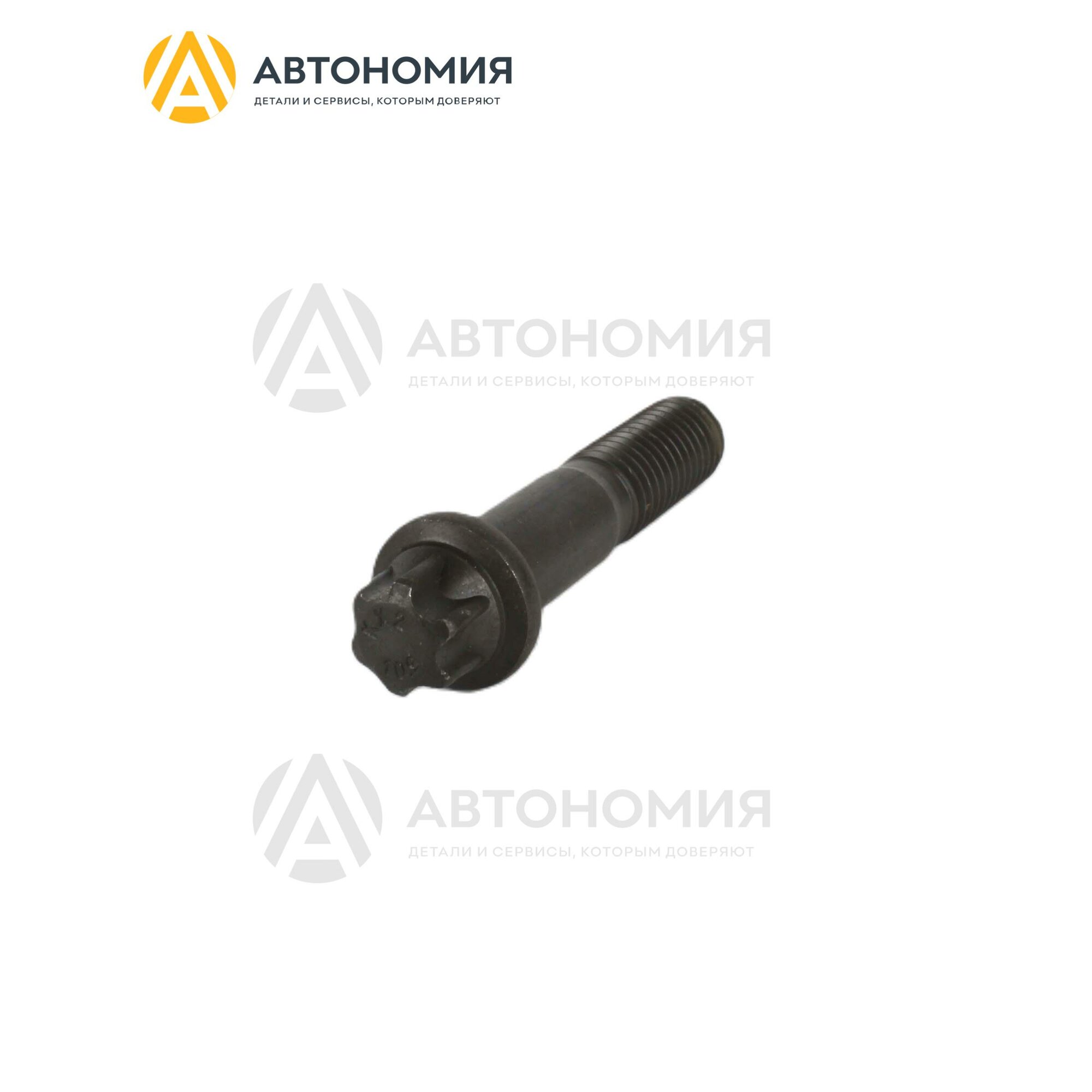 Болт с наружным Torx c рифленой головкой BMW 33 21 1 227 664