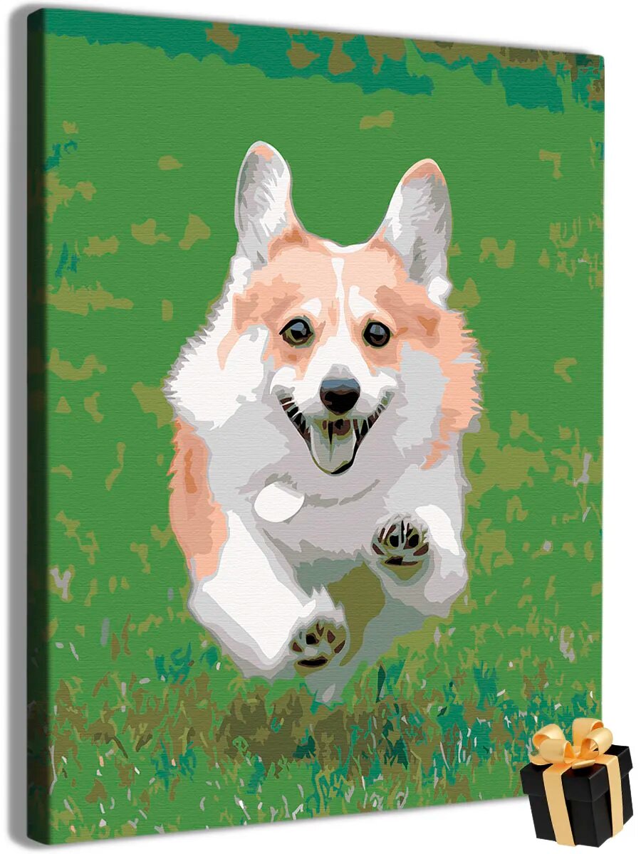 Картины по номерам Корги