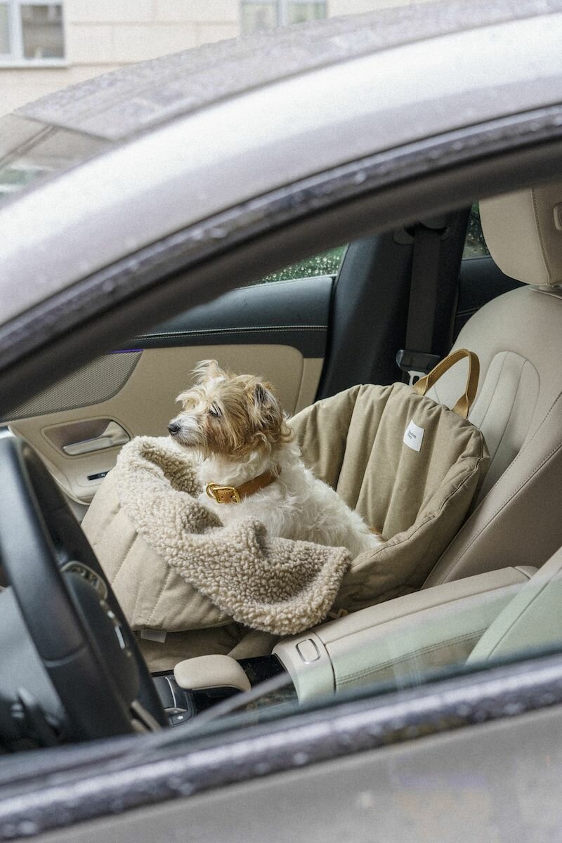 Автокресло для животных