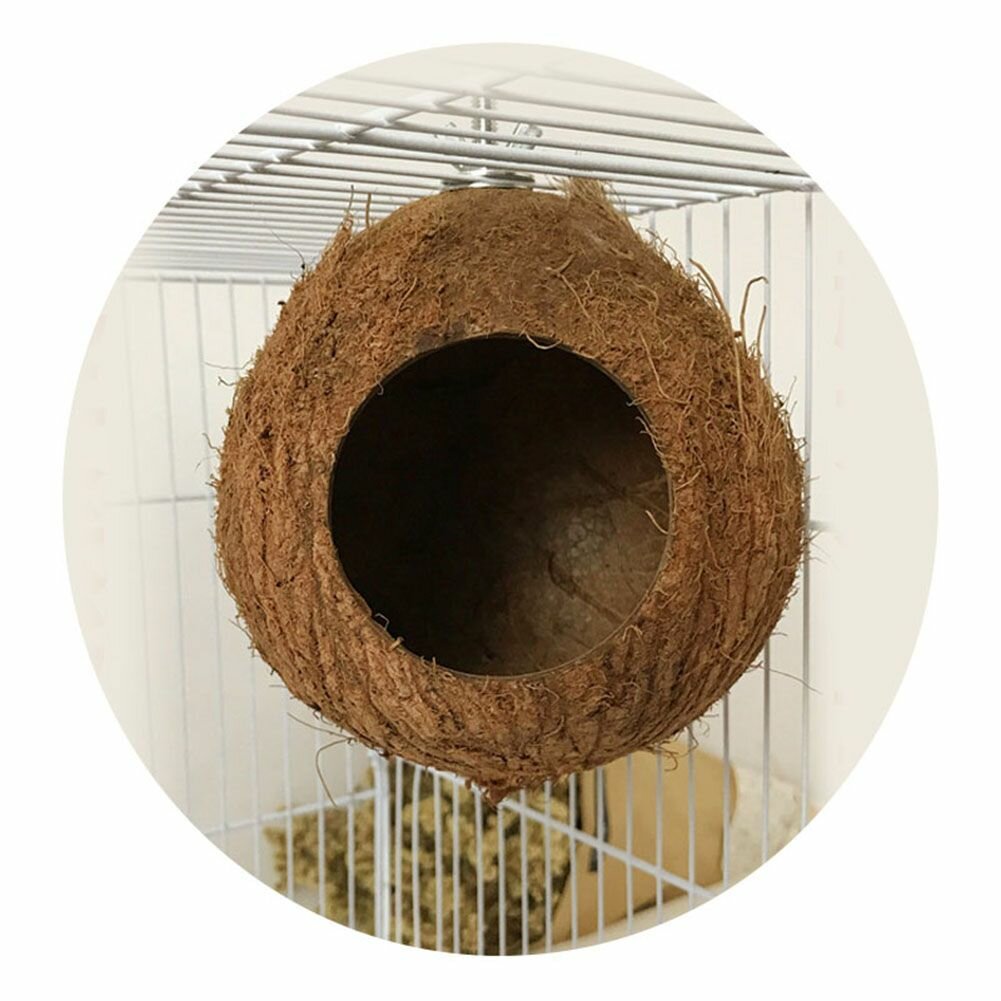 Кокосовый домик для попугаев и грызунов натуральное уютное жилище из кокоса