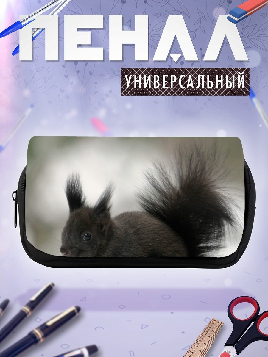 Школьный пенал белка хвост