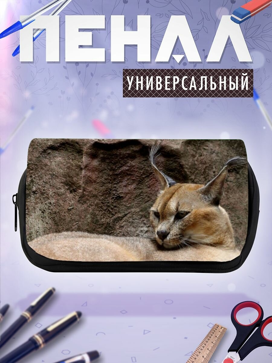 Школьный пенал Дикая кошка Каракал