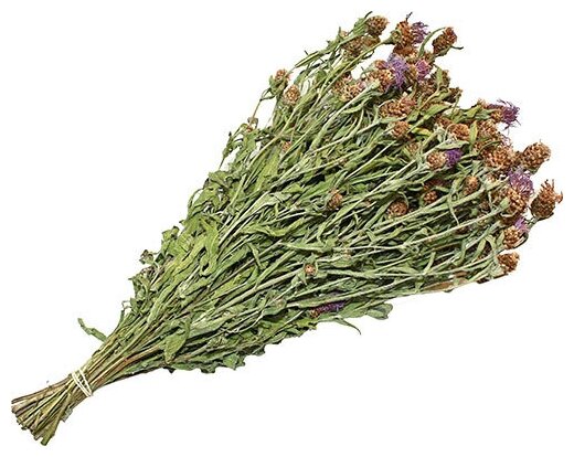 Веник травяной из василька Суши Веник, для бани, урожай 2025 года