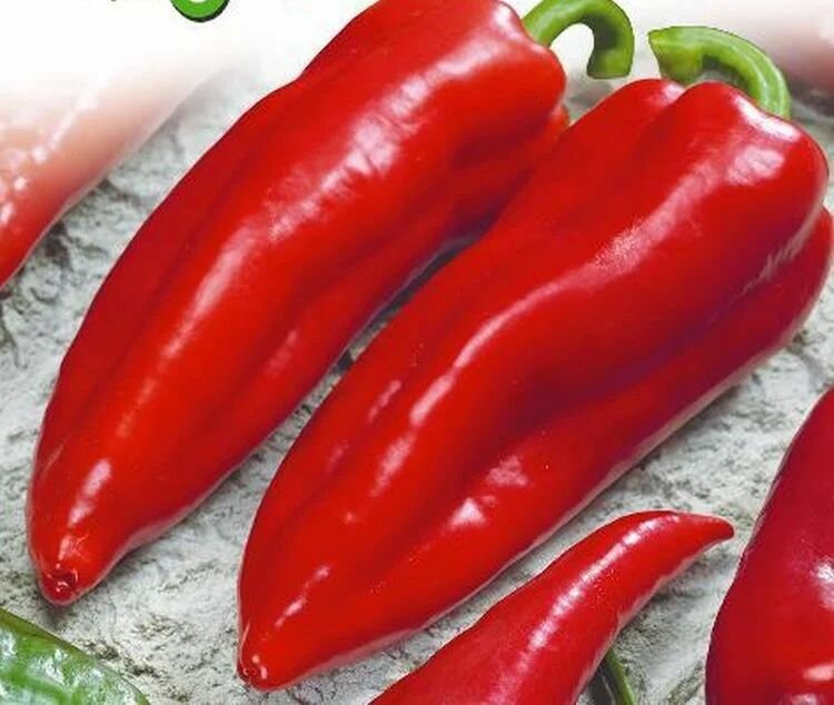 Коллекционные семена перца сладкого Дамира