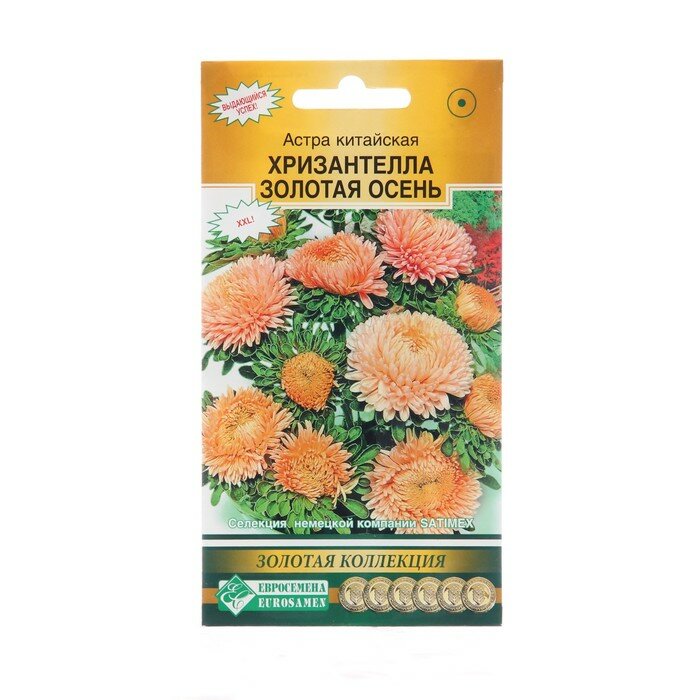 Семена цветов астра китайская «Хризантелла Золотая Осень», 5 шт.