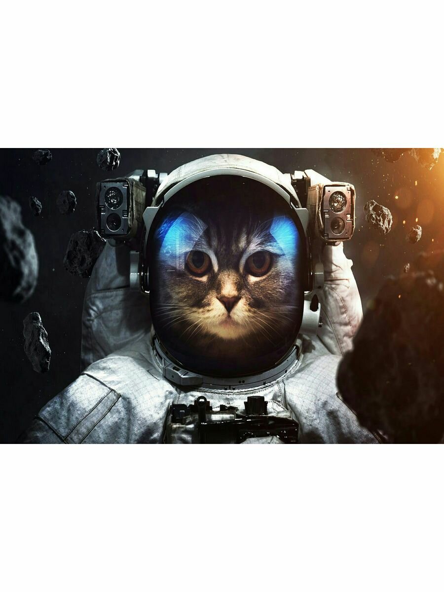 Постер "Кот космонавт"