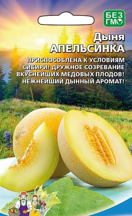 Семена Дыня Апельсинка 10 шт.