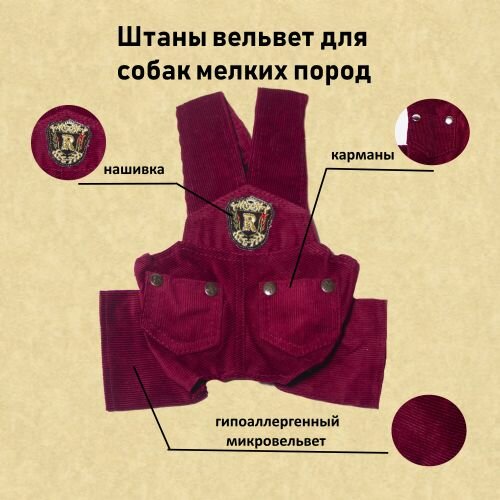 Штаны-джинсы вельвет для собак мелких пород, нашивка R, размер XXS, цвет бордовый