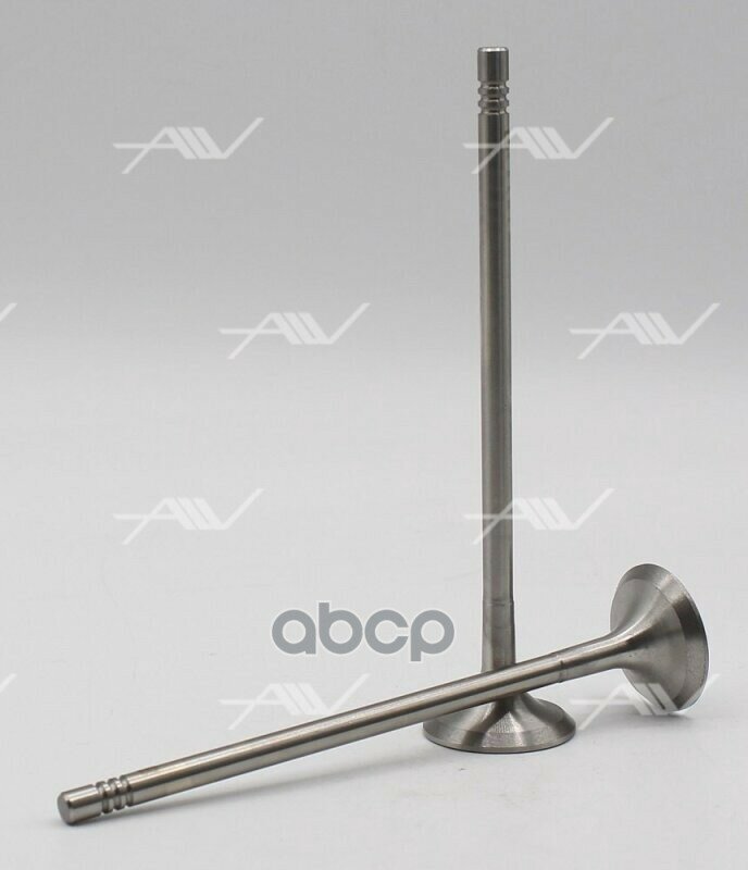Клапан вып BMW/CITROEN/PEUGEOT 5FS/EP6C/N12B16/N14B16 25.1x5x110.7 Autowelt арт. VE57010