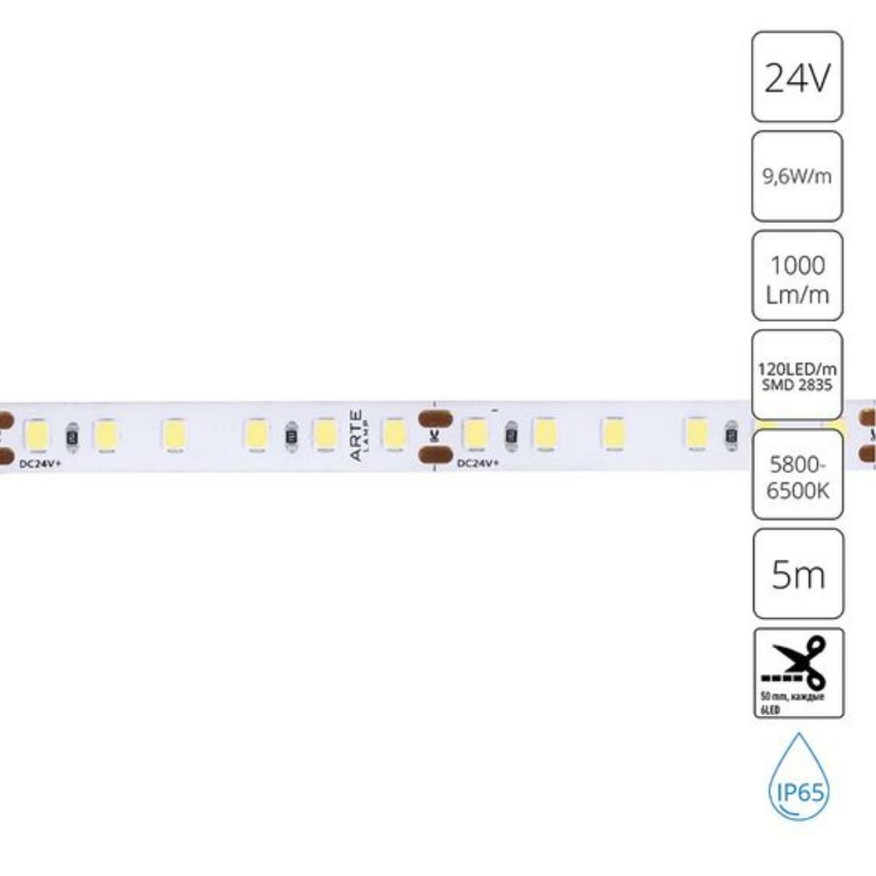 Светодиодная лента 24V 9,6W/m 6000К 5м Arte Lamp AQUA TAPE A2412008-06-6K