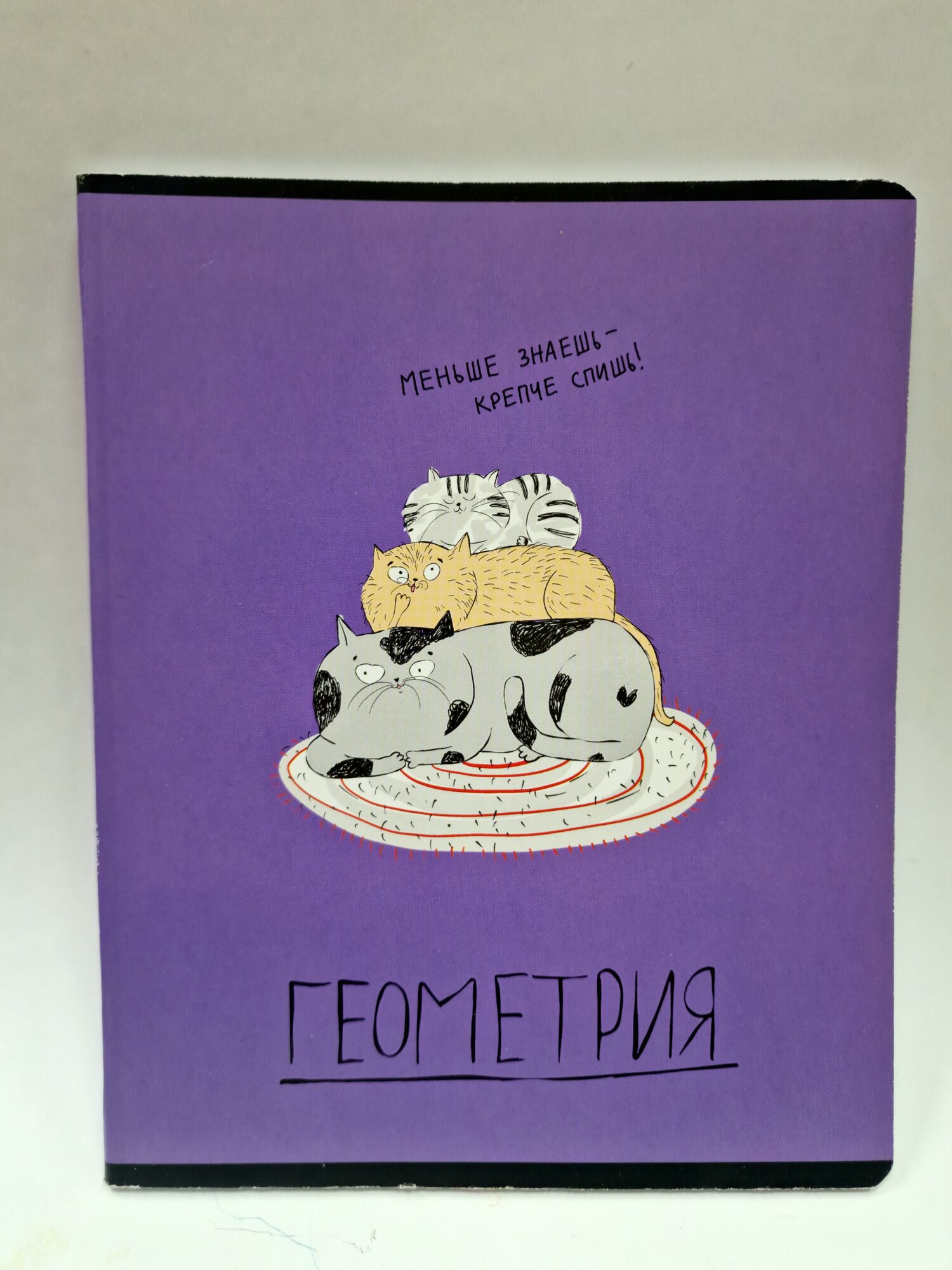 Тетрадь предметная любознательные коты геометрия А5+, 48л, клетка 60460