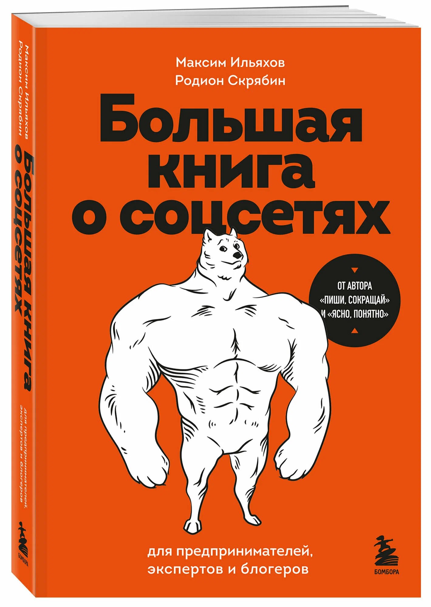 Большая книга о соцсетях для предпринимателей экспертов и блогеров Книга Ильяхов МО 12+