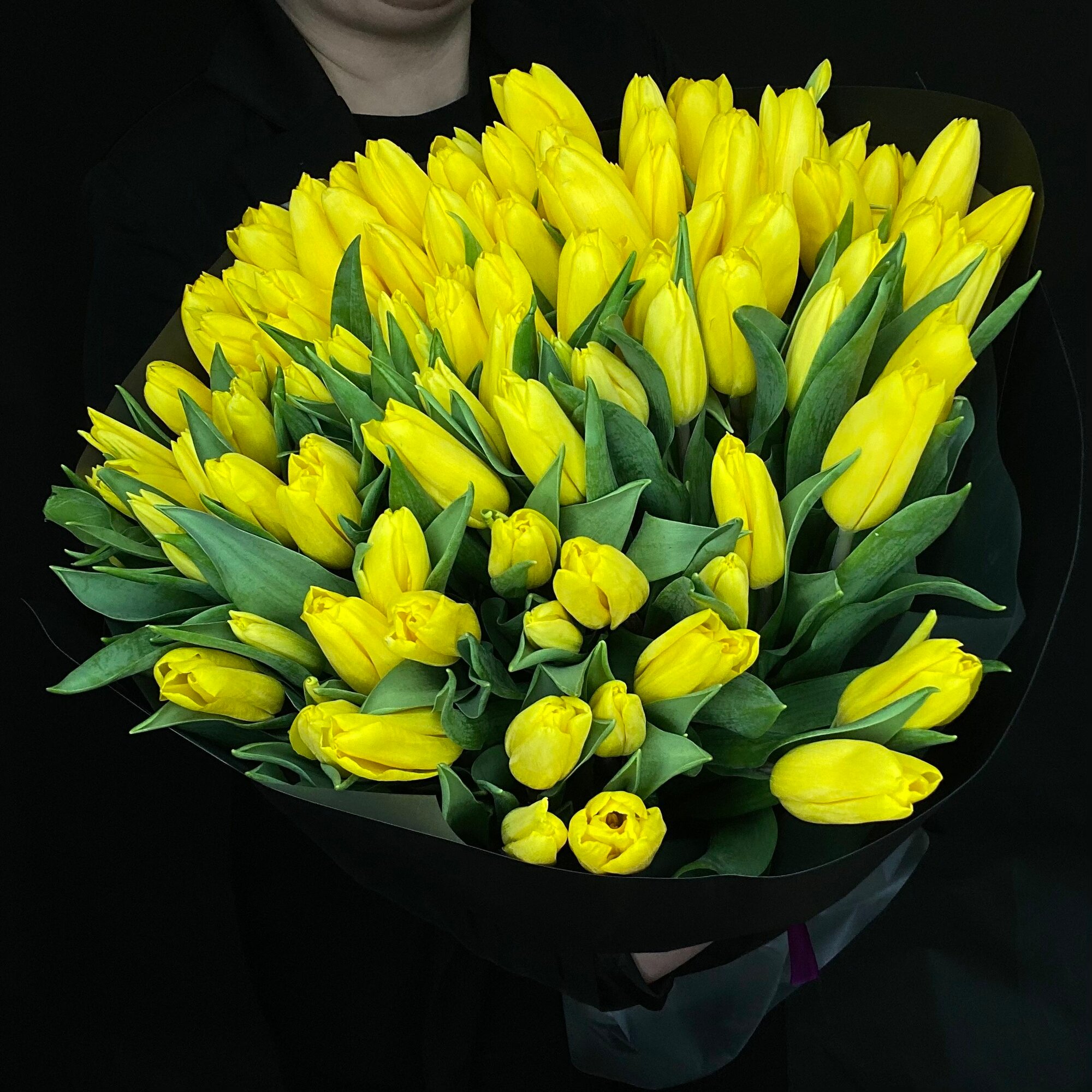 Желтые тюльпаны