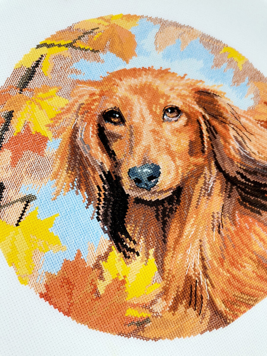 Набор для вышивания марья искусница "Такса", 25 х 25 см арт. 03.014.32