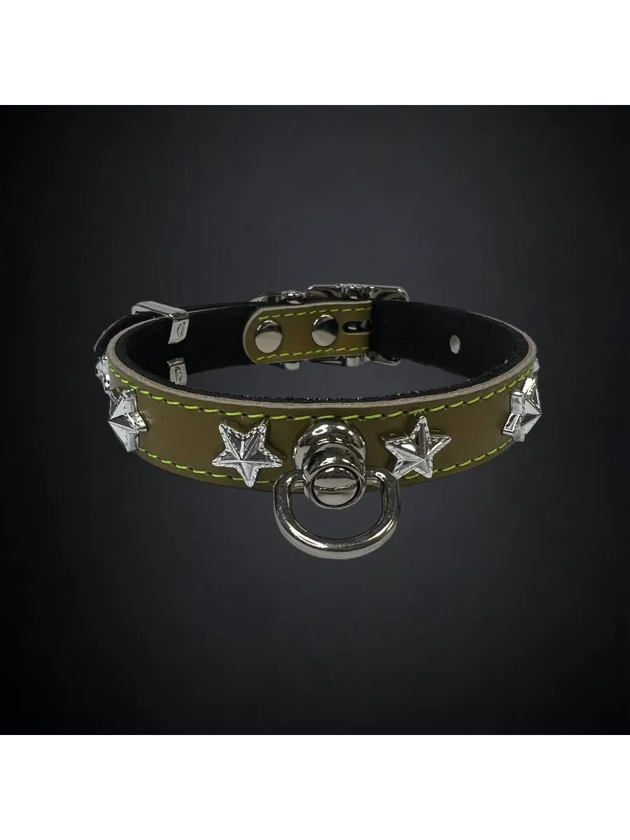 Ошейник Dogbond Star кожаный для собак малых пород и кошек