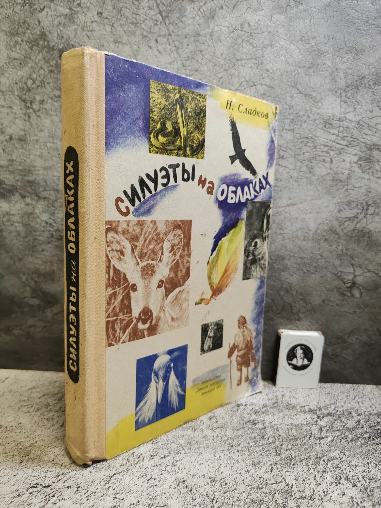 Силуэты на облаках (1972 г.)