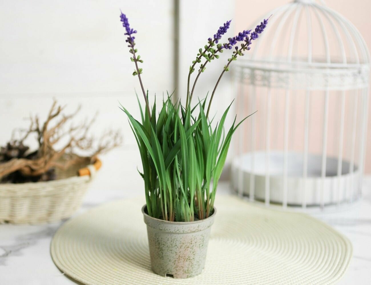 Искусственные цветы в горшке лаванда, 23 см, Edelman