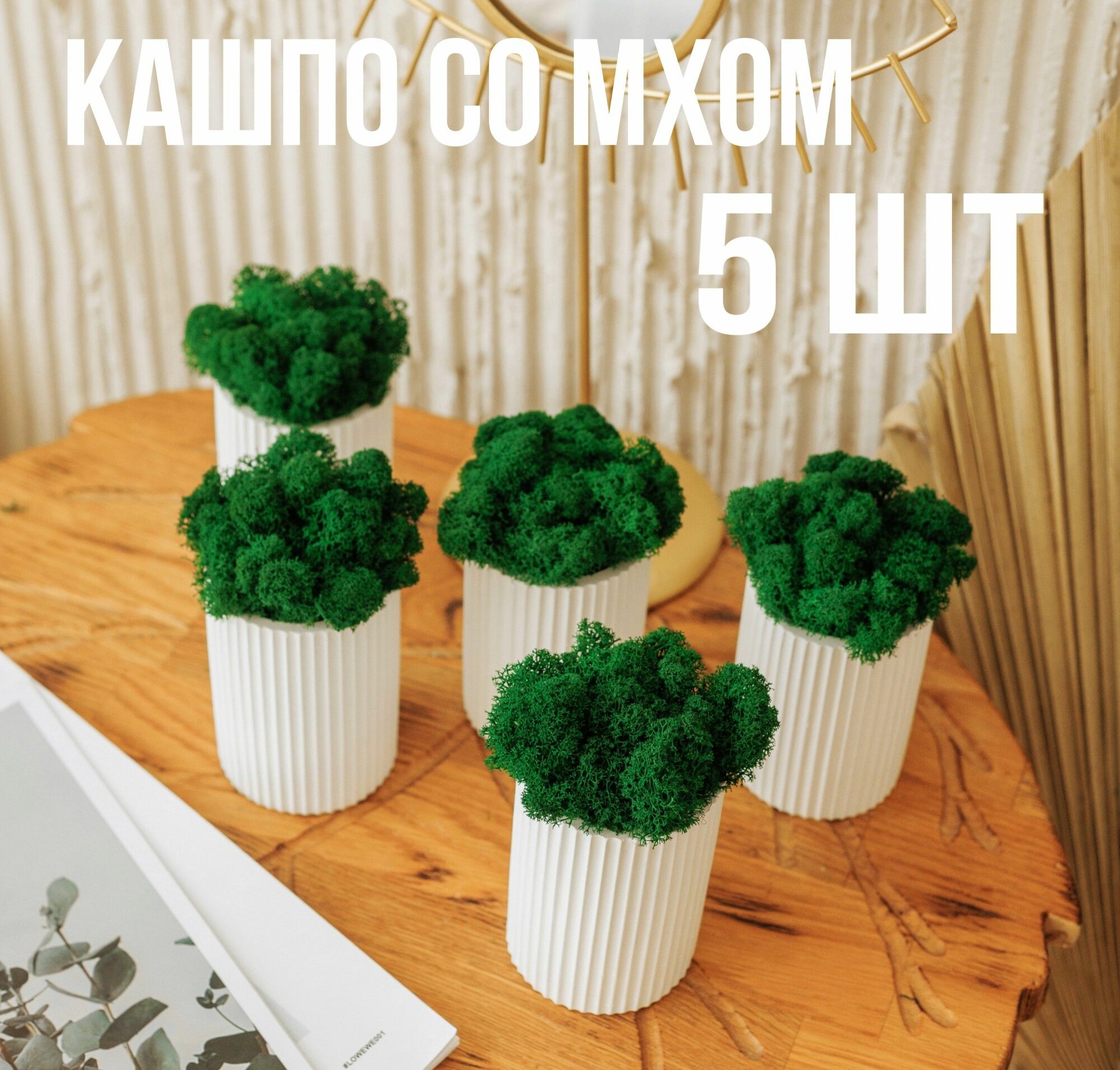 Набор ваз 5 шт из гипса со стабилизированным мхом для цветов сухоцветов настольный