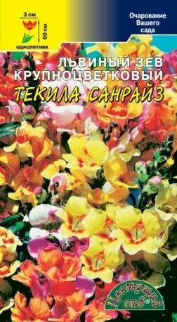 Семена Львиный Зев Крупноцветковый Текила смесь