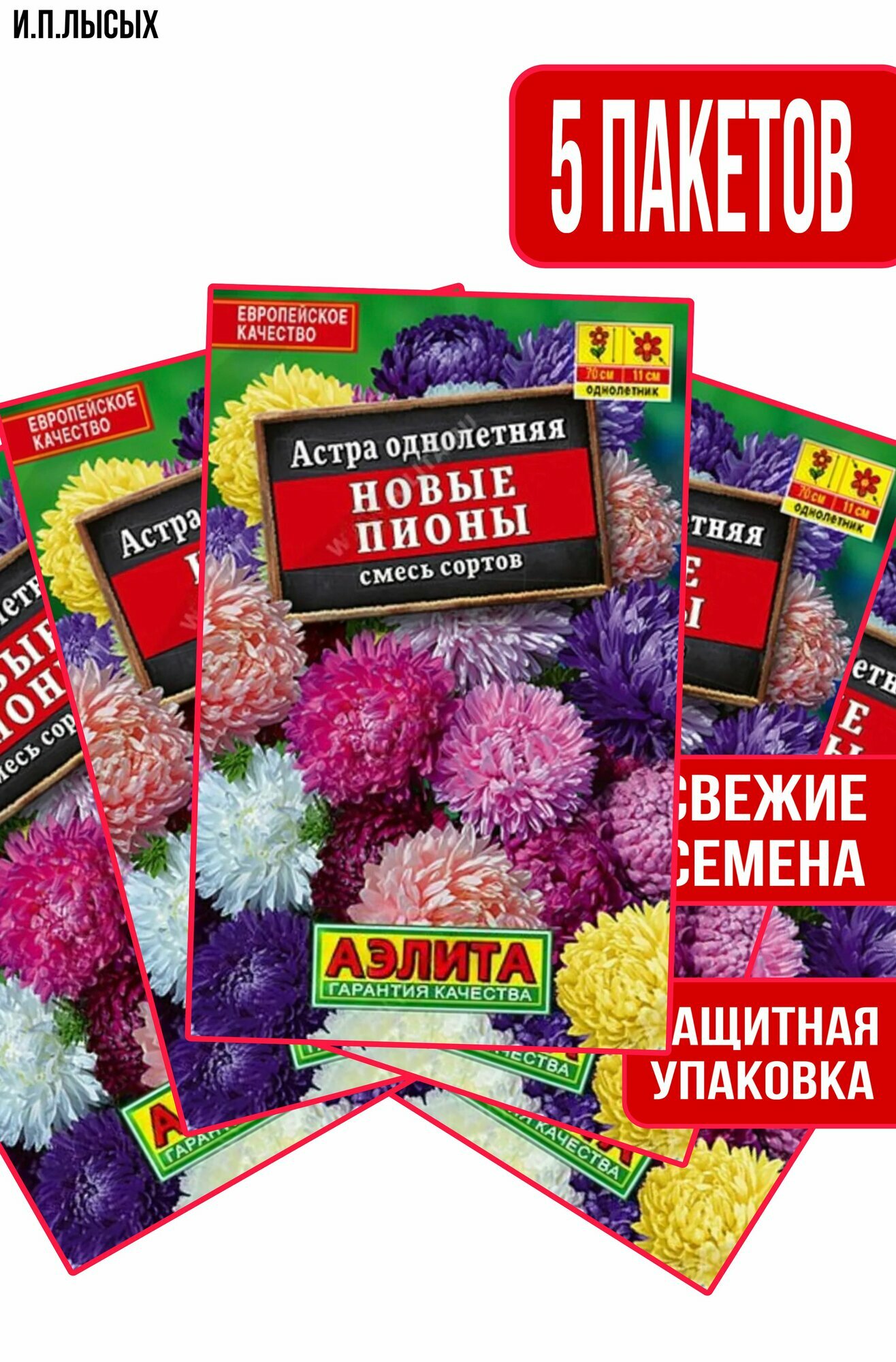 Семена Астра , Новые пионы, смесь сортов