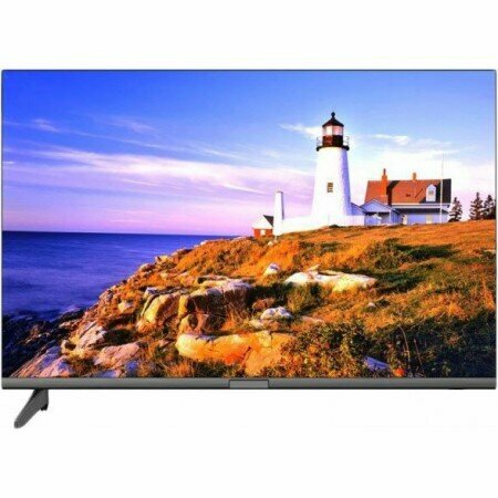 Витязь 24LH1204