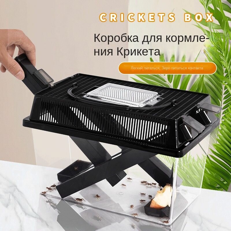 Контейнер для живого корма, забор для сверчков большого размера, виварий для сверчков и тараканов 270*170*180 мм